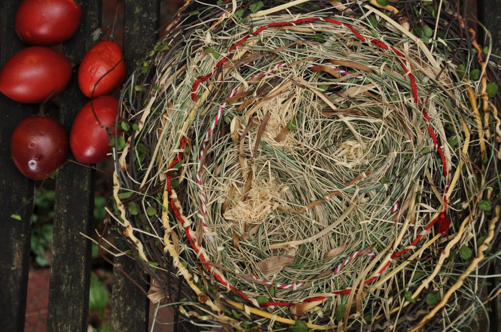 Plant Walk, Making String and Weaving Nests - Newstead Arts Hub