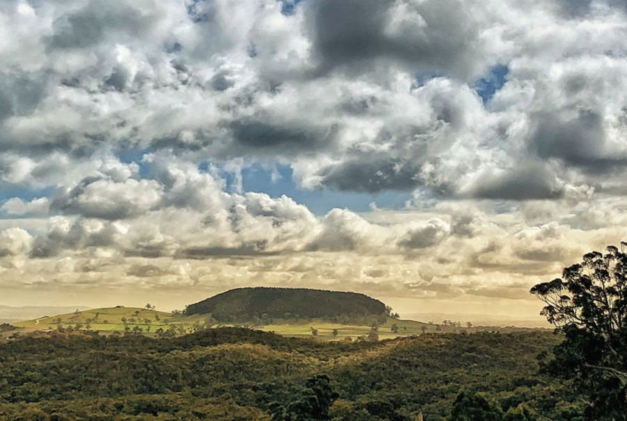 What's On - Newstead Arts Hub