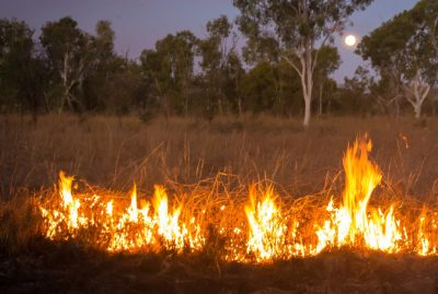 What's On - Newstead Arts Hub