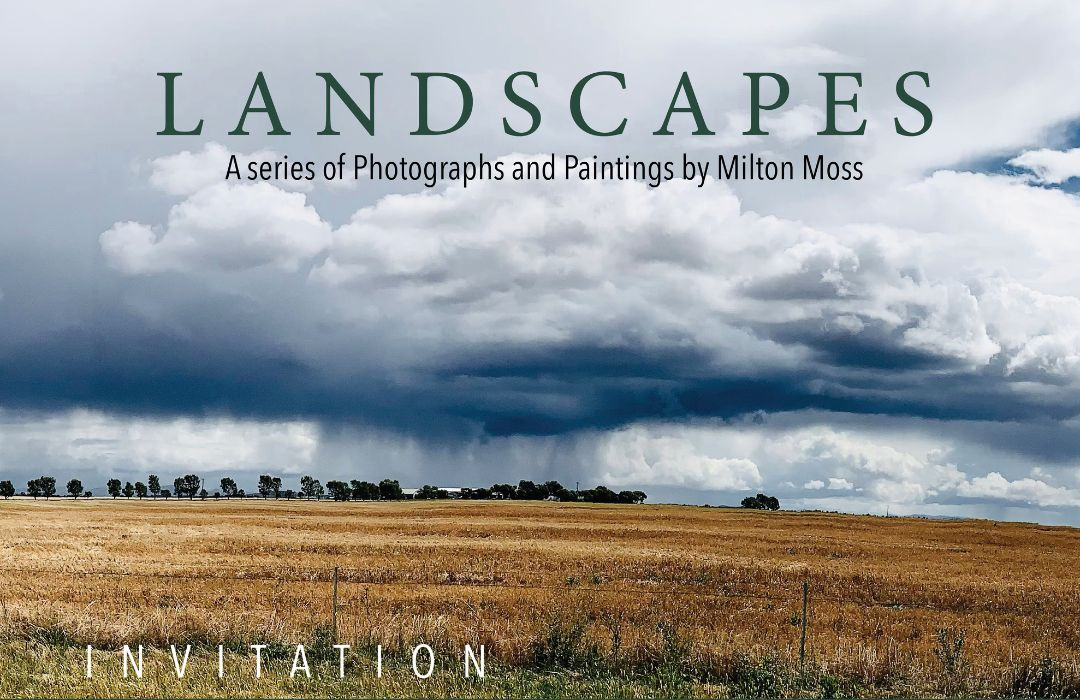 Landscapes: Milton Moss - Newstead Arts Hub
